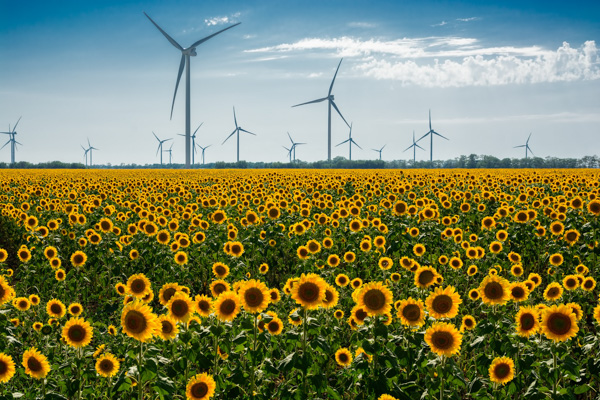 World Bank: Carbon Pricing Trends 2026 and Market Growth | Sector Signals